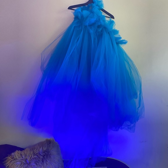 Dresses | Field Of Dreams Tulle Dress Size Medxl | Poshmark